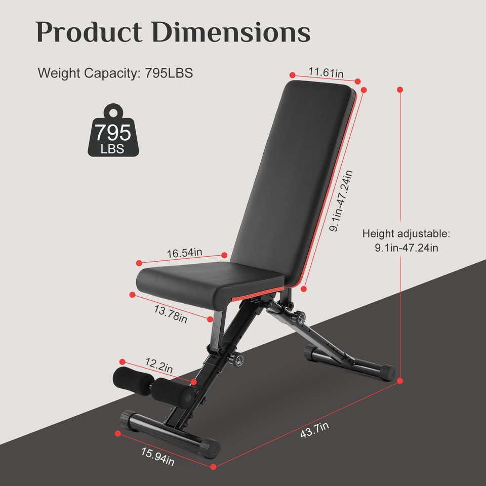Full Body Workout Exercise Bench - Fitness Chair and Training Stool ...