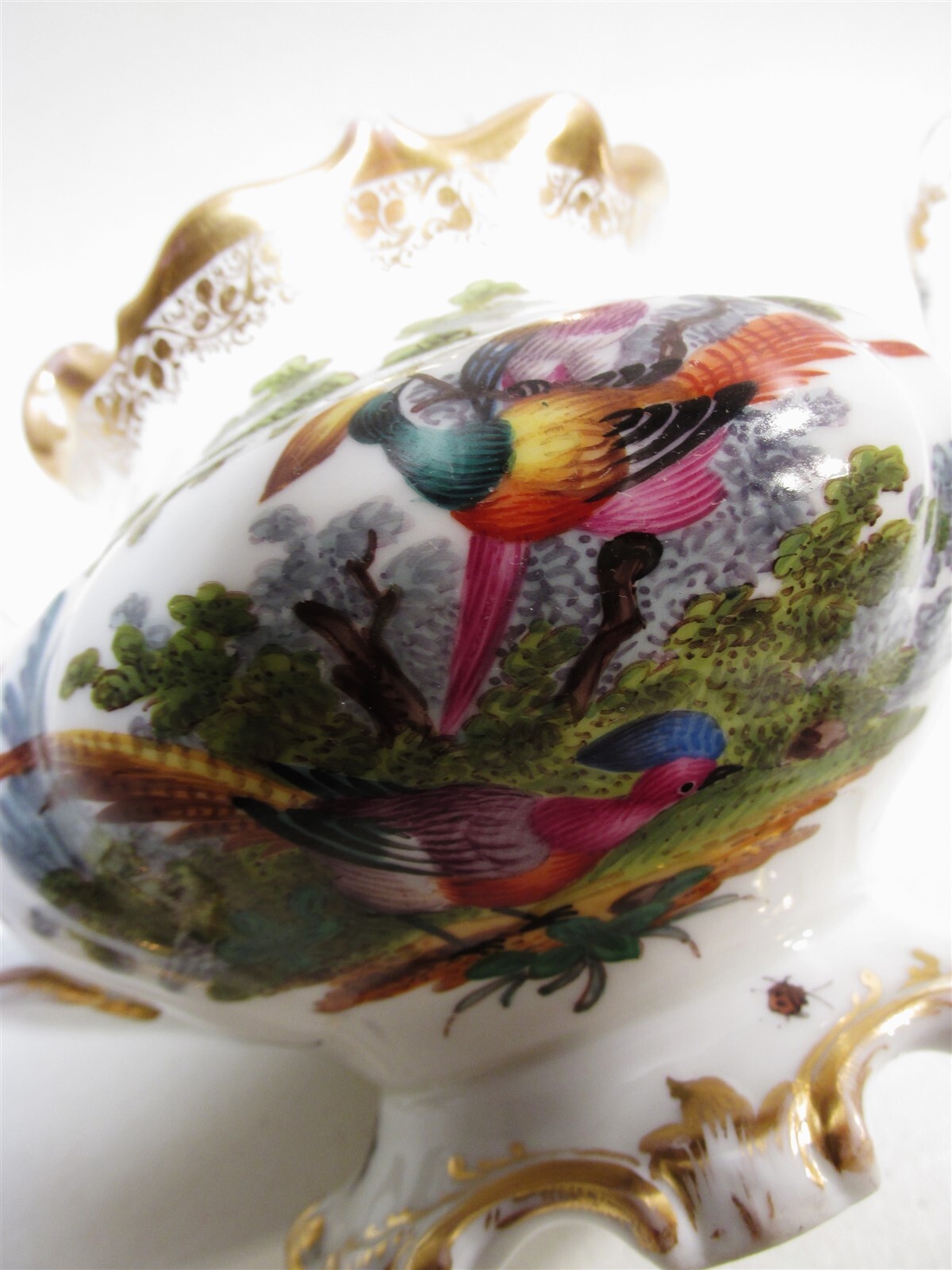 Hand Painted Richard Klemm Dresden Birds of Paradise Teapot Insects ...