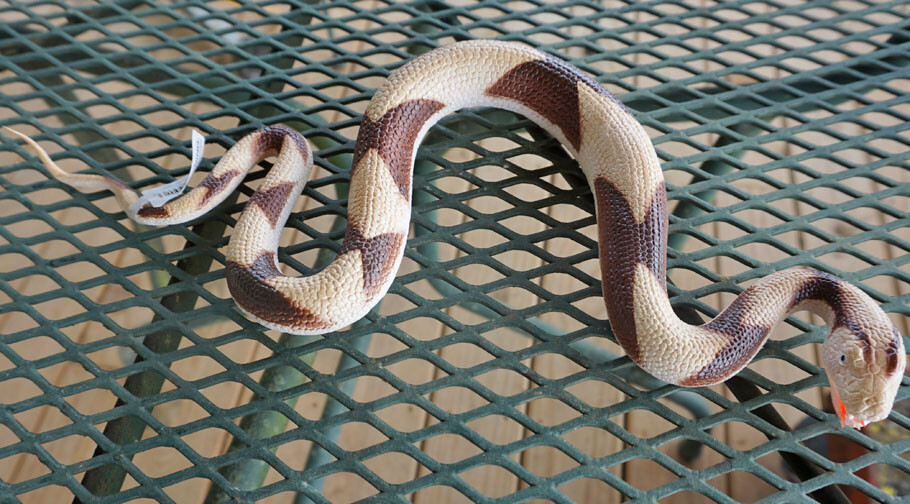 Toy Snakes - Fat Rubber Viper Types - Choice of 8 Varieties | eBay