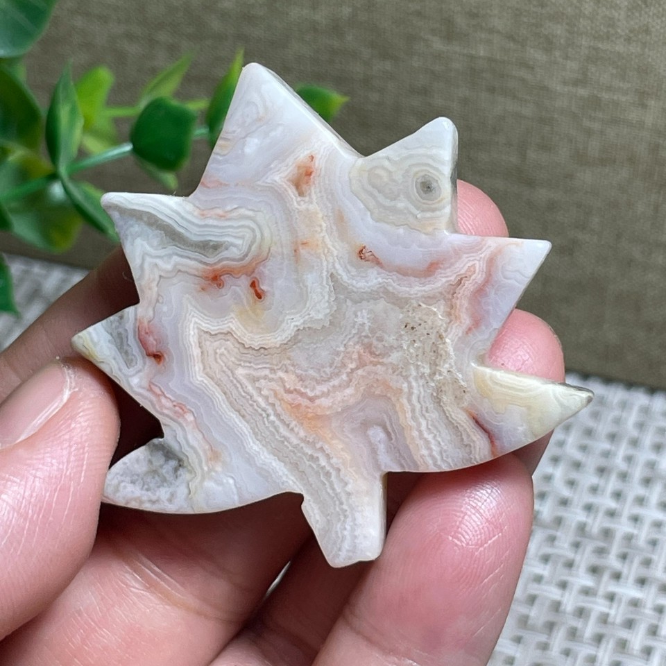 Crazy Mexican Lace stone Carved Maple leaf Polished original specimen ...