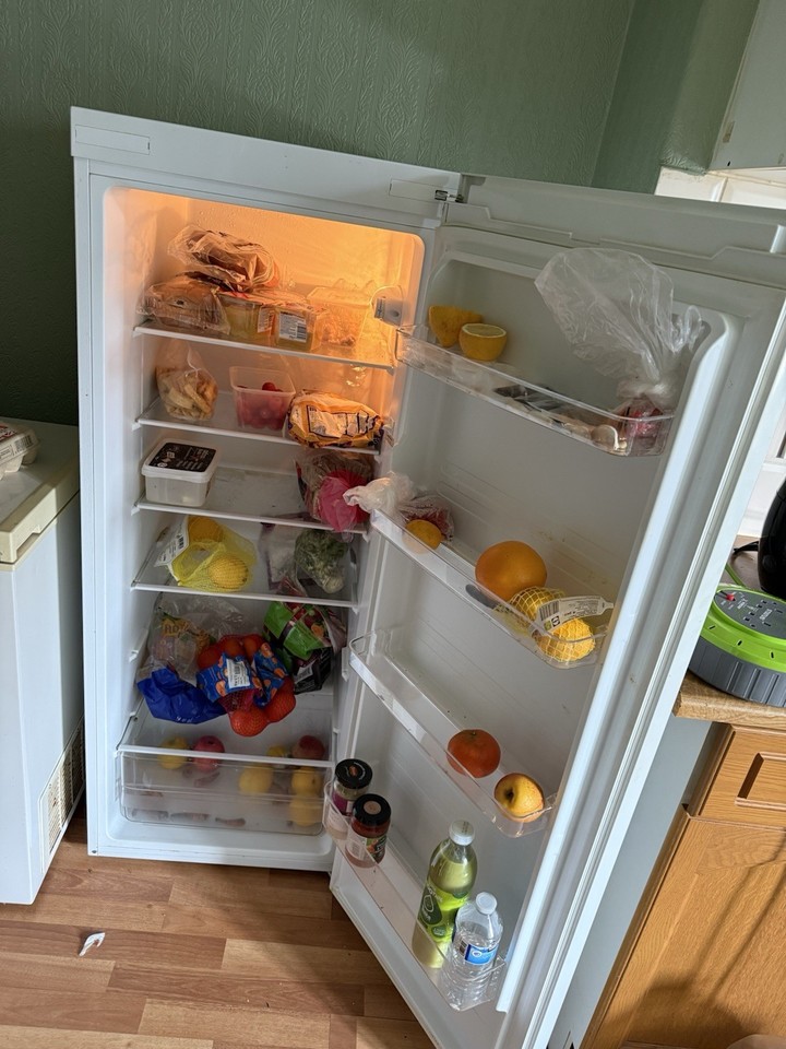 Bush Tall Fridge M55143TLW-220-240V, Excellent Condition, R600a ...