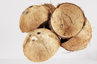 Eco-Friendly COCONUT SHELL BOWL HALVES Natural Handmade Ceylon Decorate ...