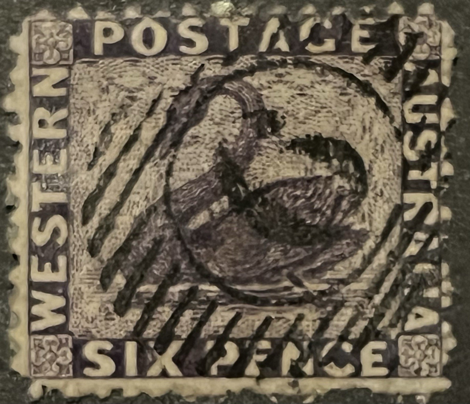 Western Australia 6d Stamp 1864 Indigo-Violet Six Pence Swan | eBay UK