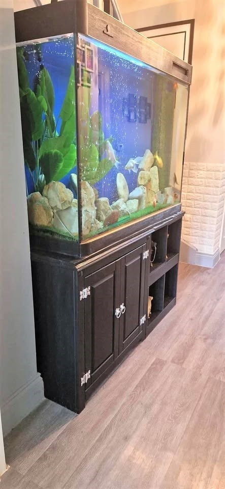 aquarium fish tank & unit. MASSIVE tank 4ft x 3ft.......L@@K | eBay UK