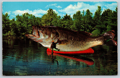 Postcard Exaggerated Fish in Canoe Big One Got Away C11 | eBay