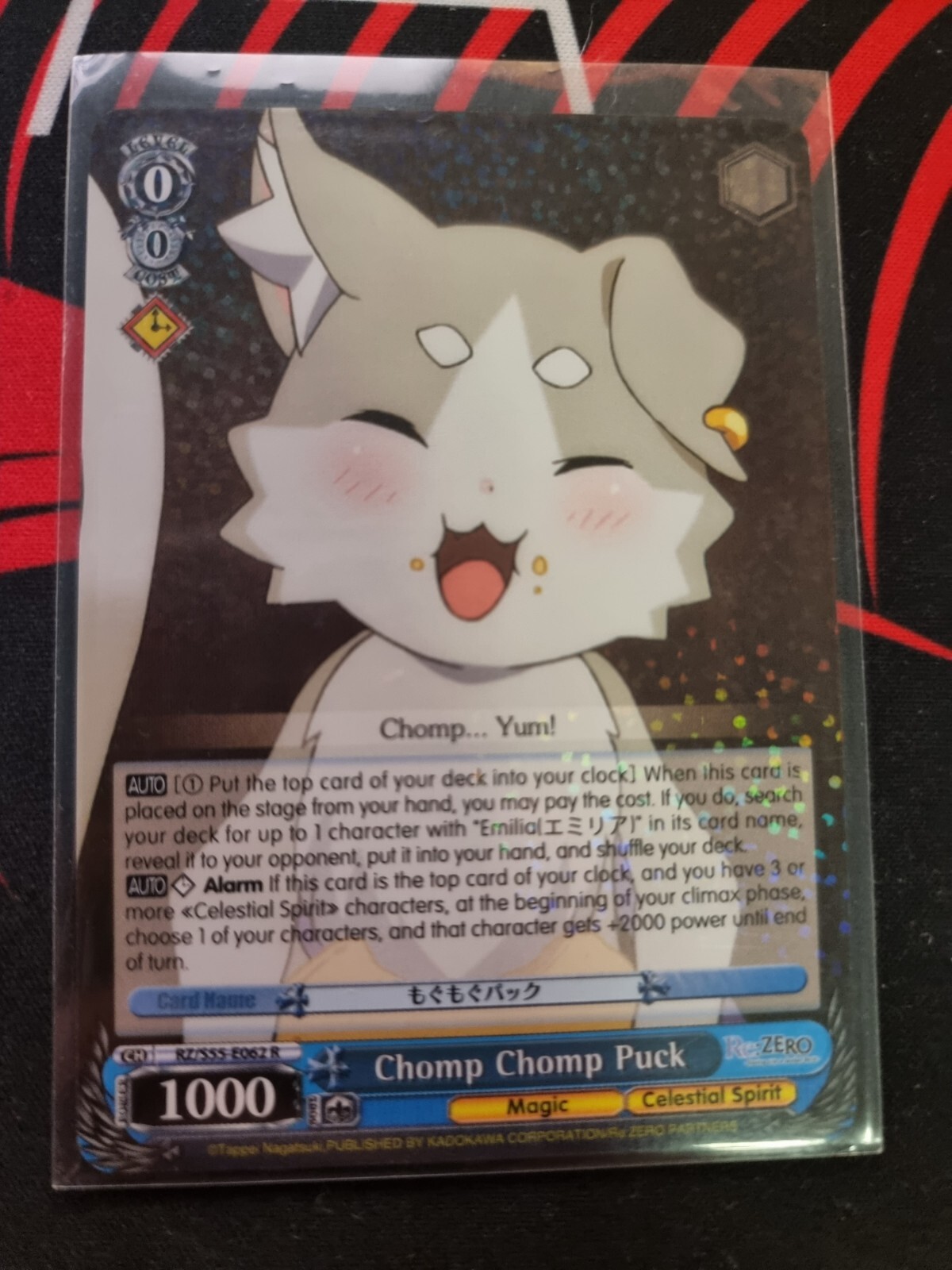 Chomp Chomp Puck RZ/S55-E062 R | eBay Australia