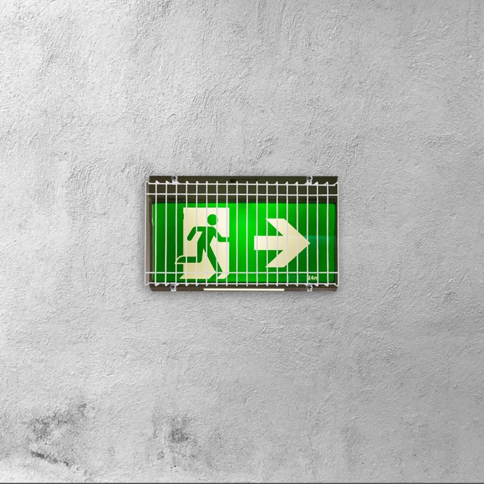 Evacuation Indicator Lamp Cover Exit Light Protective Cages Sign ...