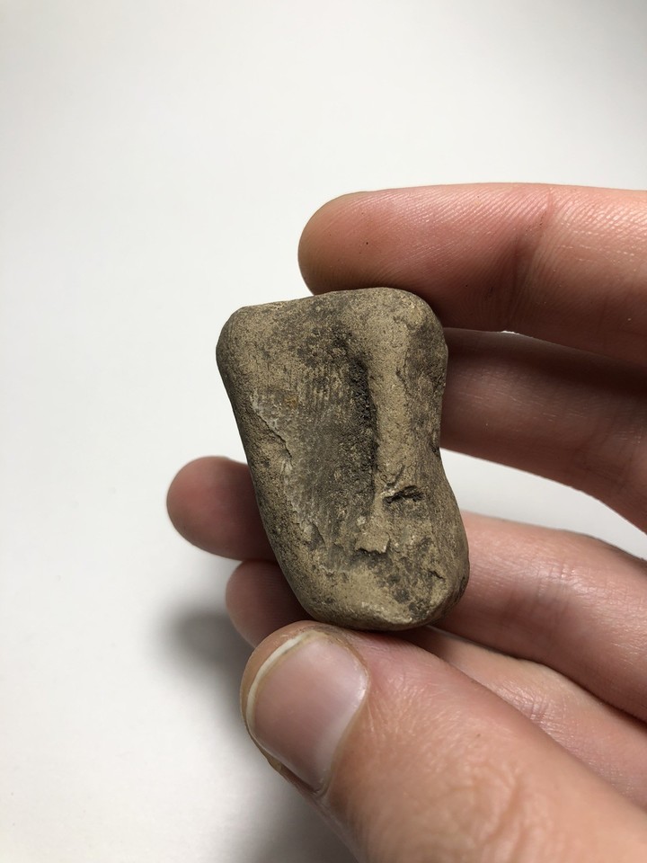 Small Rare Natural Fossil Impression Unique Ancient Old Stone ...