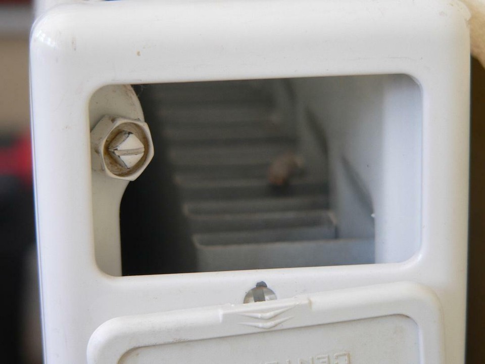 RADIATOR BLEED AIR VENT VALVES SCREWS - ALL TYPES STEEL PANEL / CAST ...