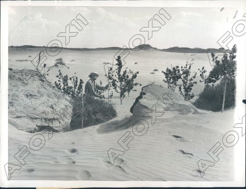 1937 Kansas US Forest Service Russell Reitz Shelter Belt Project Press ...