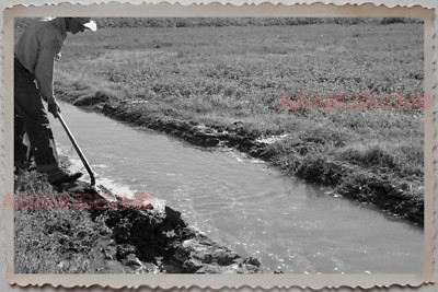 50s CALIFORNIA AMERICA WATER FARM CANAL WATERING MAN OLD VINTAGE USA ...