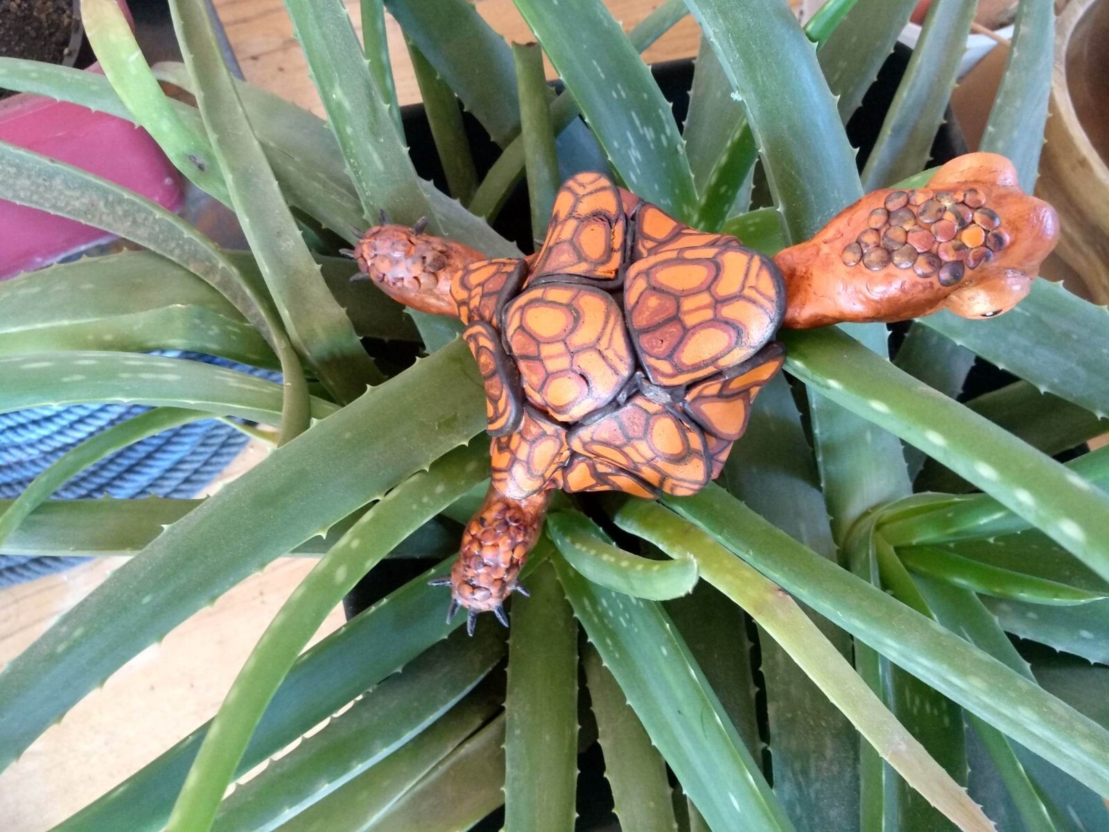 Clay handmade box turtle,decorative turtle, tortoise art figurine ...