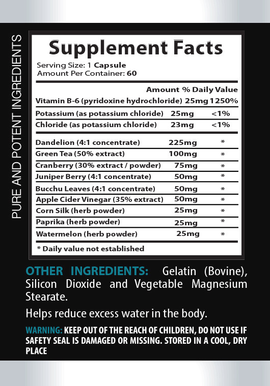 Diuretic WATER PILL High Blood Pressure Urinary Tract Bladder Kidneys 3 ...