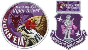 FLIGHTLINE INSIGNIA | eBay Stores