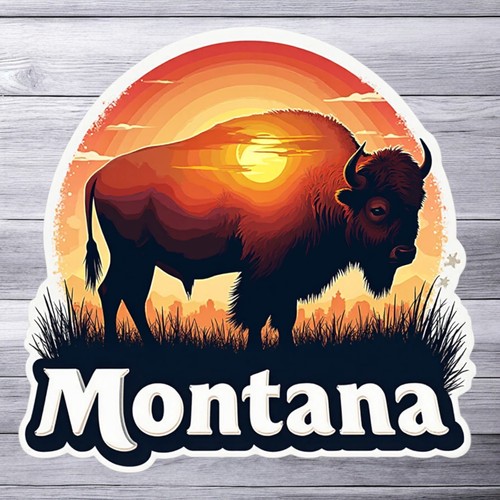 Montana sticker vinyl decal bison sunset wildlife nature | eBay