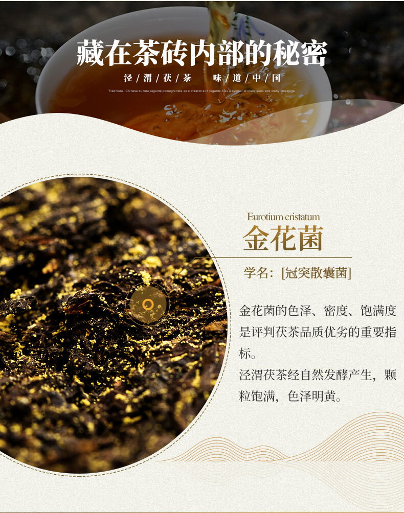 Jingwei Fu Tea Jingyang Shaanxi Fu Brick Tea Black Tea Golden Flower ...