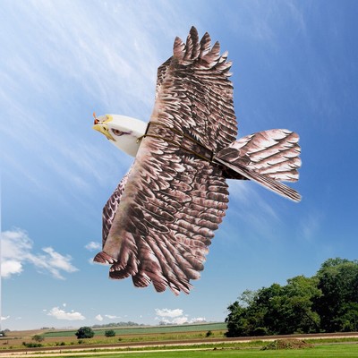 Baubericht - Adler mit 1440mm Spannweite und Brushless Motor | RC ...