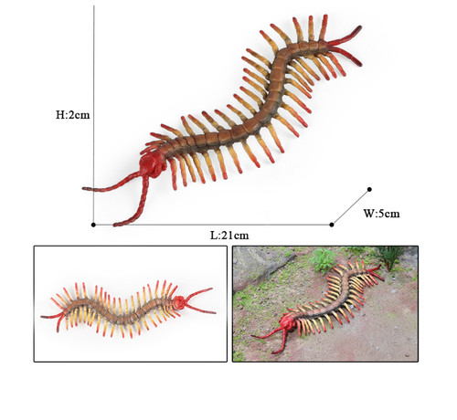 21cm Mini Centipede Insect PVC Toy Animal Figure Doll Kids Gift | eBay