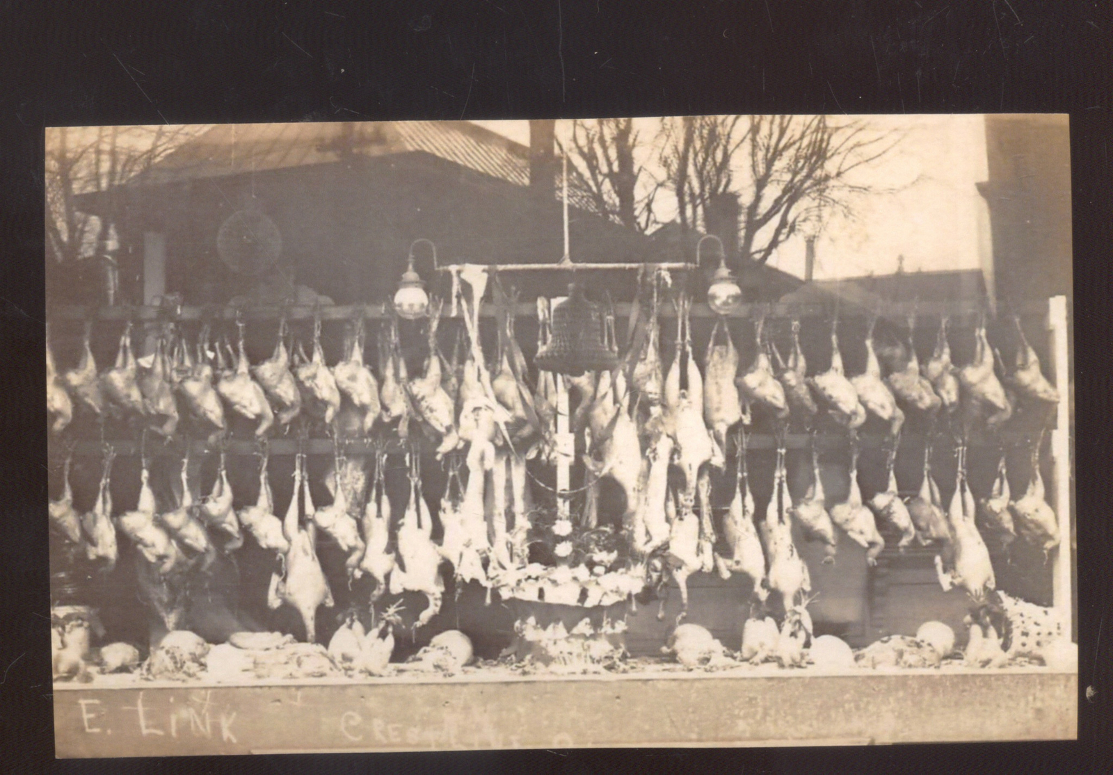 REAL PHOTO CRESTLINE OHIO LINK POULTRY FARM CHICKEN FARMING POSTCARD ...