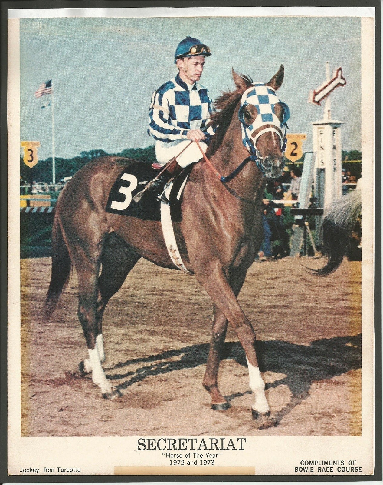 1973 - SECRETARIAT - "Horse Of The Year - 1972 & 1973" - Color - 8" x ...