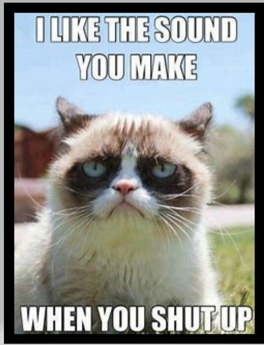 Thank You Grumpy Cat Meme