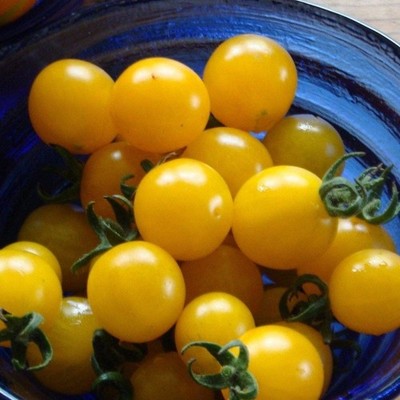 TOMATO Yellow Currant 25 seeds HEIRLOOM vegetable garden SUMMER ...