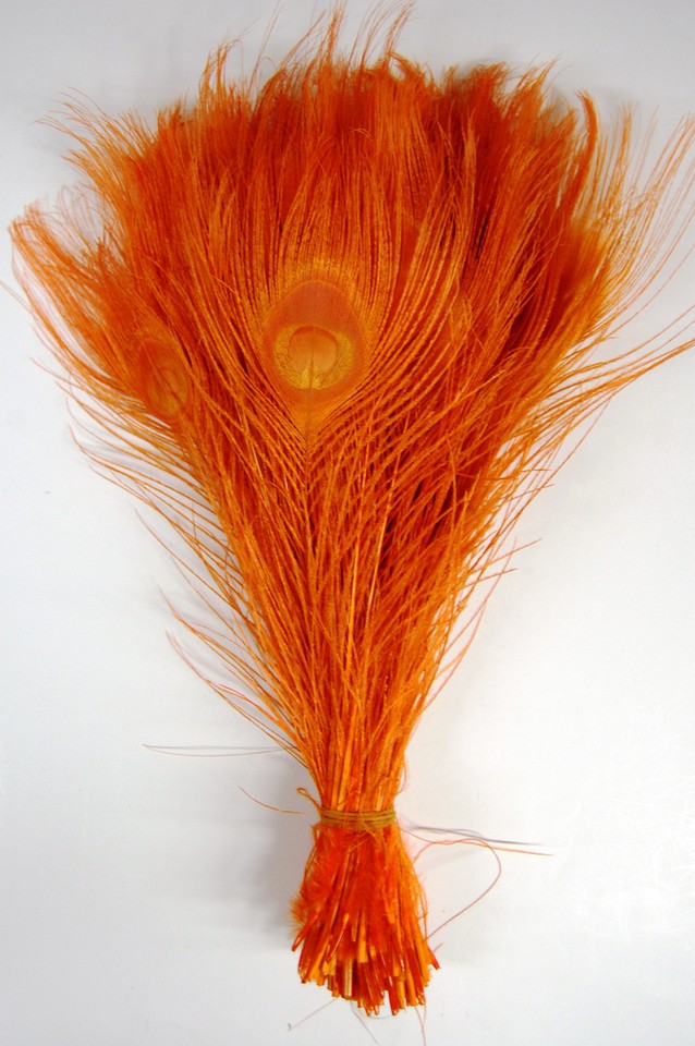 BLEACHED PEACOCK TAIL FEATHERS New Natural Feathers 10-12 Inches Top ...