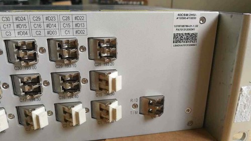 ADVA 40CSM/2HU-#19590-#19200 40CH WDM MUX 1078708789-01 40 Ports | eBay