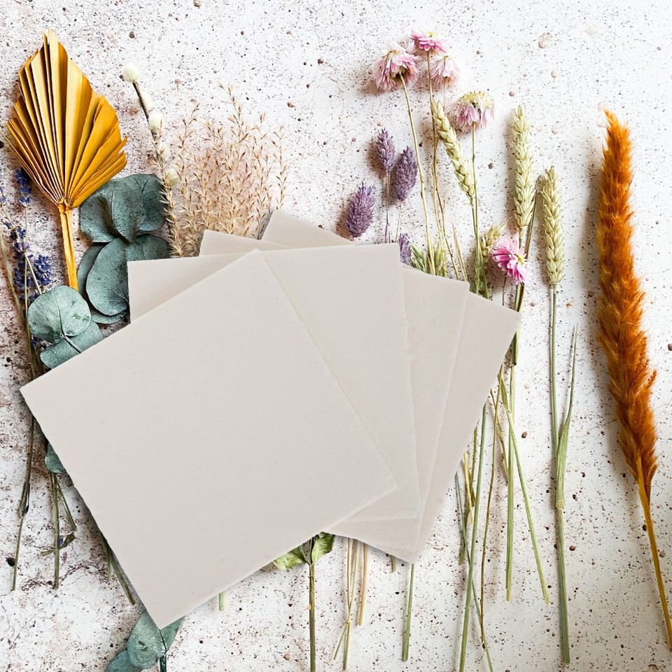 4 Pcs Specimen Making Boards Pressed Flower Paper Dried Pressing | eBay ...