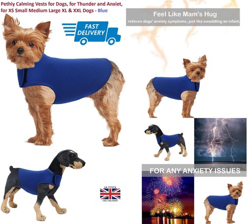 Manteau apaisant pour animaux de compagnie, gilet chiot, anti-stress et ...