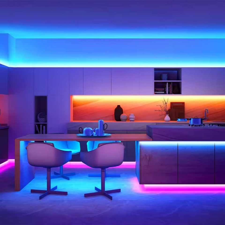 65ft 110V-24V RGB Waterproof LED Neon Rope Strip Light In/Outdoor ...