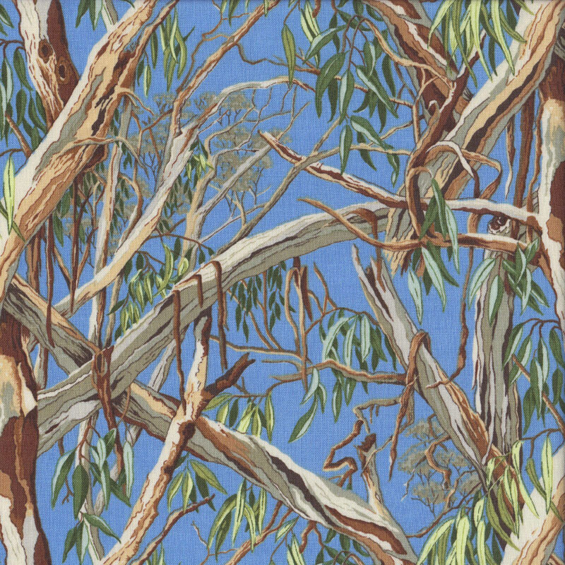 Australian Gum Trees By