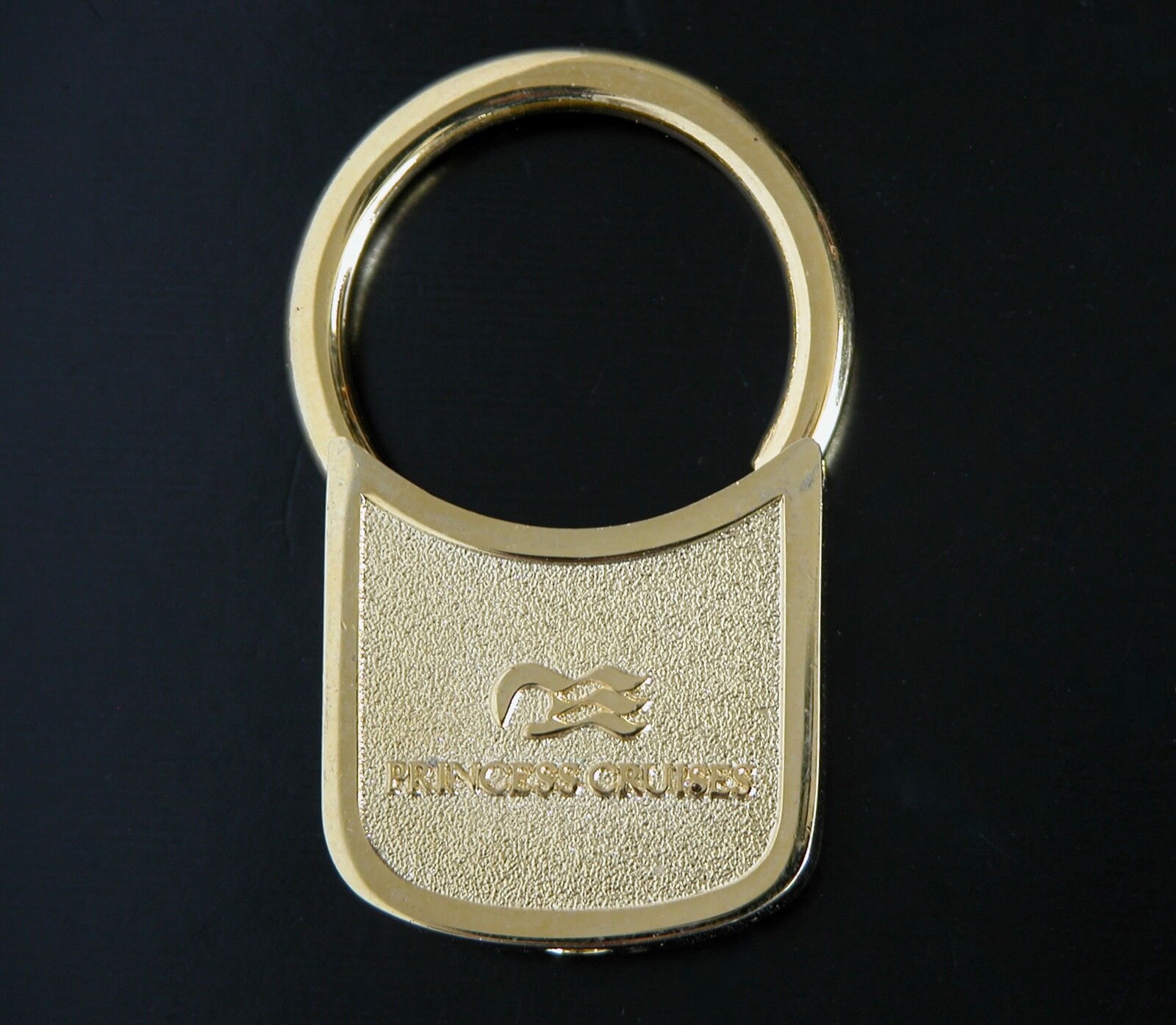 PRINCESS CRUISES CRUISE SHIP Logo Keychain Key Chain … - Gem