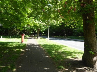 Photo A2 Shenfield Common Brentwood William the Conqueror apparently ...
