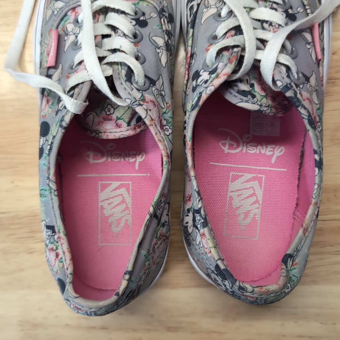 Vans Disney Minnie Mouse Digi Roses Skate Shoes Mens … - Gem