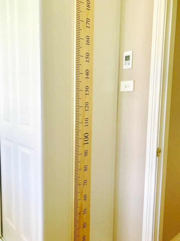 Ruler wall Vinyl decal sticker growth chart DIY wooden vintage height ...