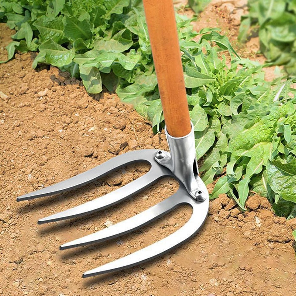 Weeding Hoe Rake Steel Harrow Grasping Raking Loosening Soil Garden F ...