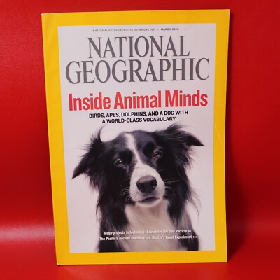 National Geographic March 2008 Inside Animal Minds | eBay