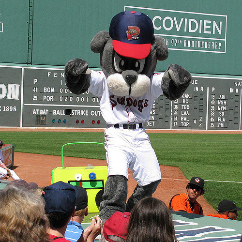 Portland Sea Dogs Mascot Slugger The Sea Dog Bobblehead SGA 8/14/18 ...