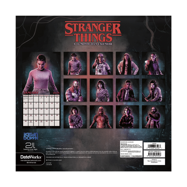 STRANGER THINGS - 2025 WALL CALENDAR - BRAND NEW - 254043 | eBay