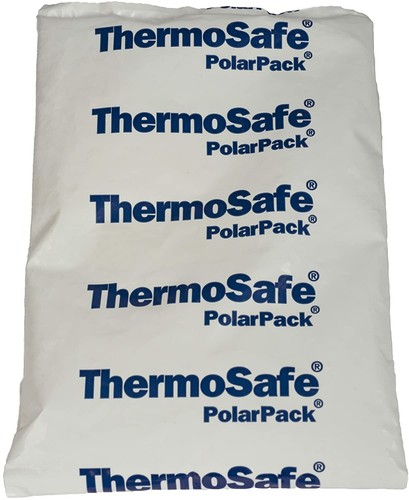 ThermoSafe Polar Pack Foam Brick Freezer Cold Ice Packs (8"x5.5"x0.5 ...