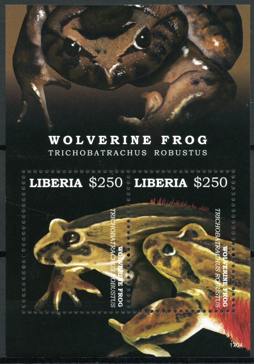 Liberia 2017 MNH Wolverine Frog 2v S/S Amphibians Frogs Stamps | eBay