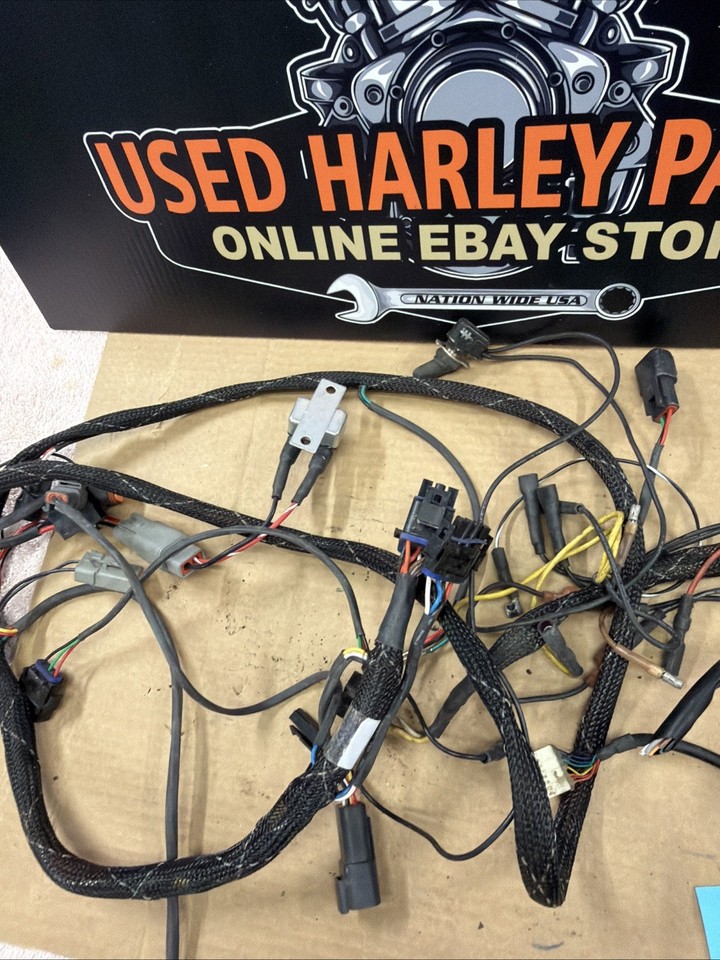 Harley Bigdog Big Dog American Ironhorse Texas Chopper Wiring harness ...
