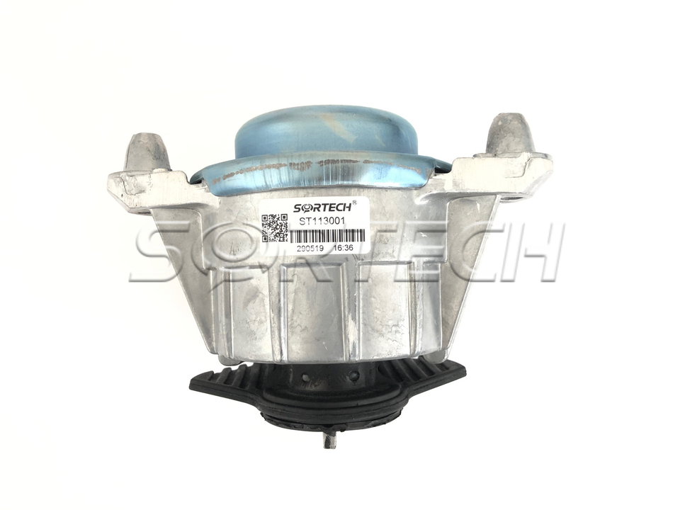 Engine Mount Front Right or Left for Mercedes C250 2042404217 2-Year ...