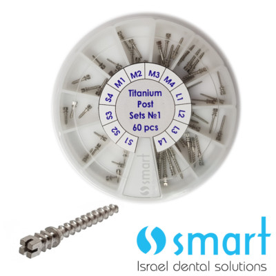 Dental Titanium Screw Posts Set 60pcs Anthogyr compatible dentatus | eBay