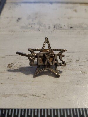 Texas Horns Star TX lapel pin badge long horn star Travel Souvenir A5 ...