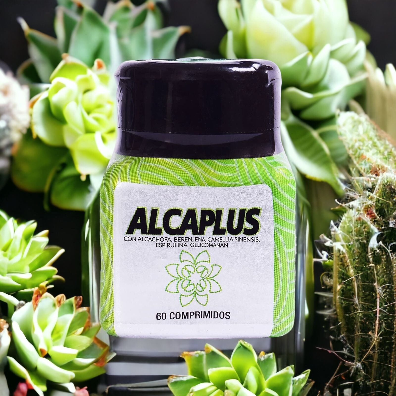ALCAPLUS DIETARY SUPPLEMENTWEIGHT / 120 TABLETS ADELGAZANTE NATURAL ...