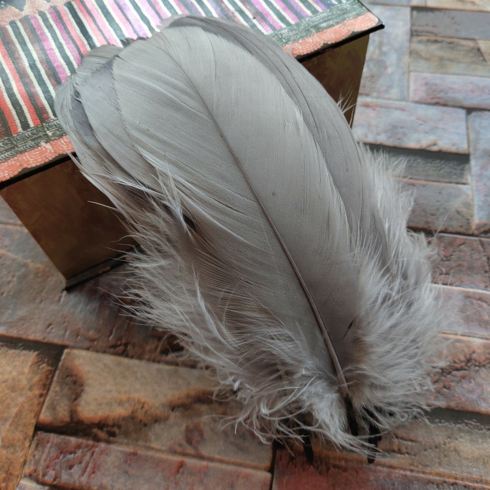 Wholesale 20-100 Pcs Pretty Natural Goose Feathers 12-18 cm/5-7 inches ...