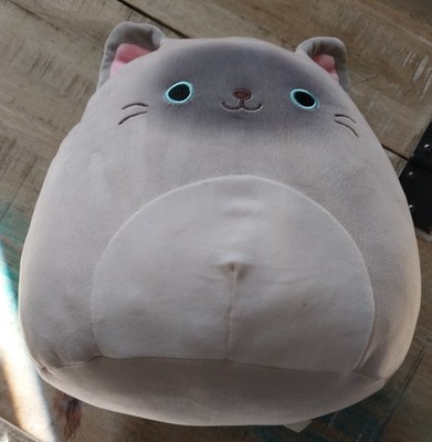 Squishmallows Felton The Siamese Cat 12” Plush Kellytoy | eBay