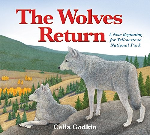 The Wolves Return - Hardcover By Godkin, Celia - GOOD 9781772780116| eBay